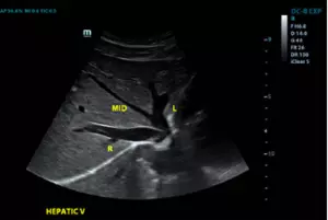 MIT 103 Introduction to Medical Imaging | Oregon Tech