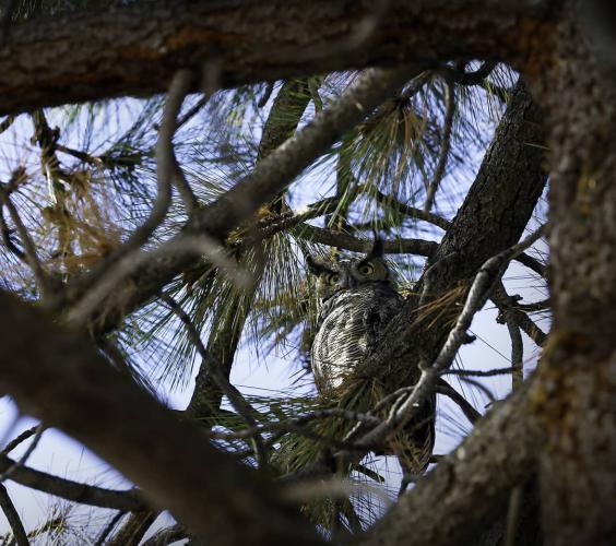 Oregon Institute of Technology